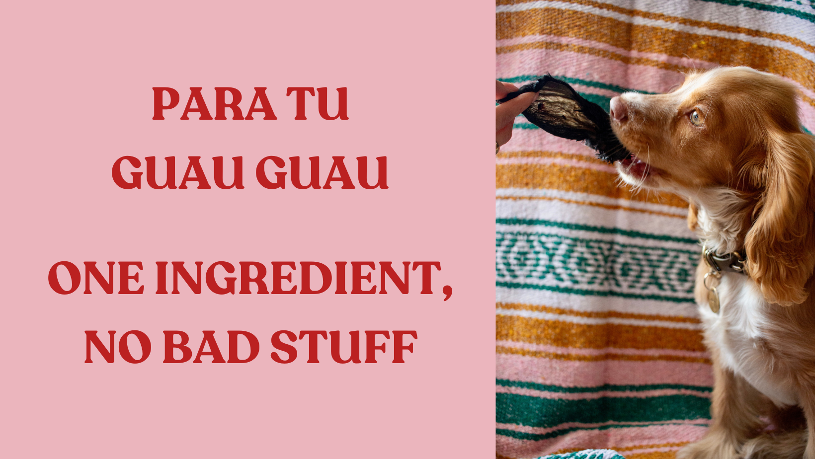 Treats – Guau Guau Treats